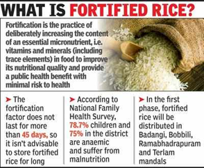 What is fortified rice, and how is it prepared? - GS SCORE