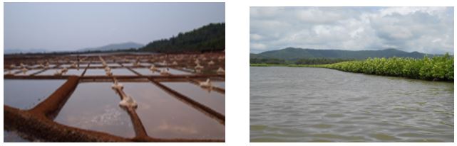 New Ramsar Sites - GS SCORE