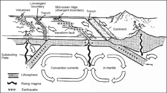 How Were Continents And Oceans Formed?