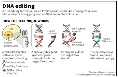 Navigating the Ethical Frontiers of CRISPR - GS SCORE