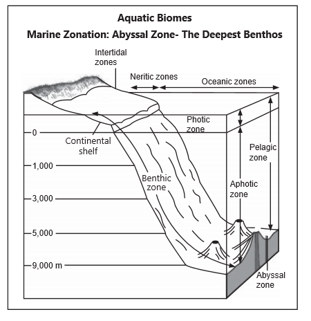 Marine Ecosystem Zones Establishing An Emission Control Area For Ships