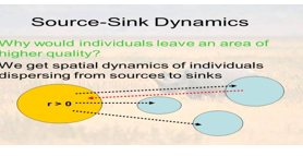Source - Sink Dynamics in Tiger population