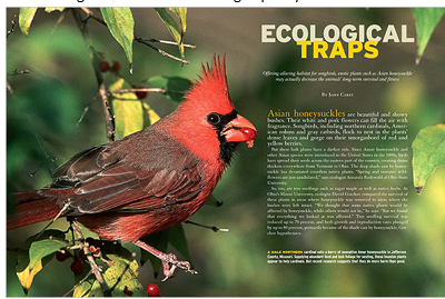 What is Ecological Trap?