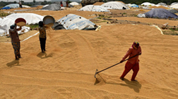 World’s largest grain storage plan - GS SCORE