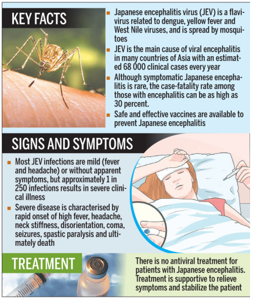Japanese Encephalitis - GS SCORE