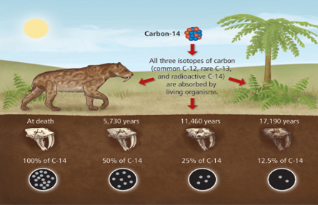 Carbon Dating Method: Issues & Solution - GS SCORE