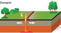 Scientists discover "Pontus plate" - GS SCORE