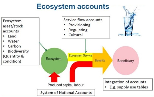 Ecosystem services valuation: Correcting conceptual issues with carbon ...