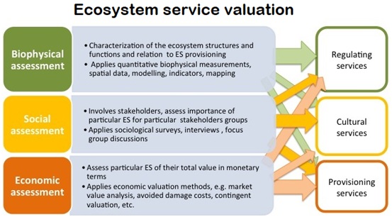 Ecosystem services valuation: Correcting conceptual issues with carbon ...