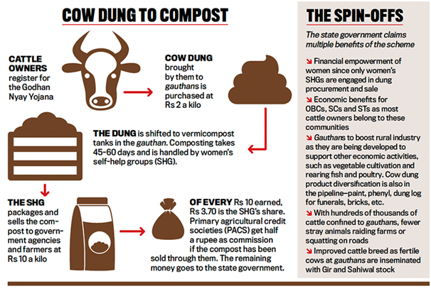 Artisanal soaps to lavender tea, Chhattisgarh’s gobar revolution is ...