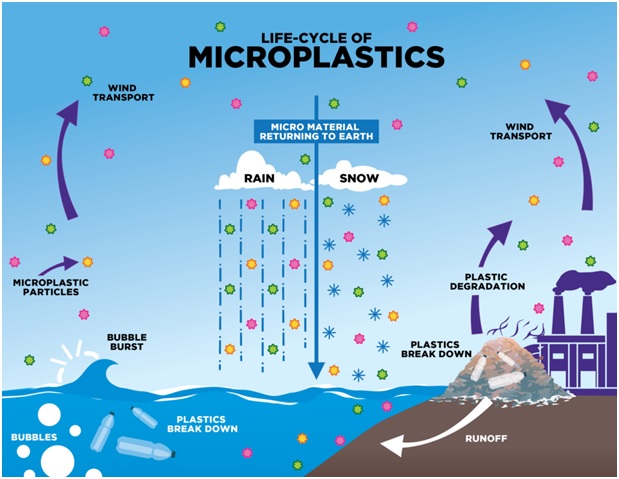 Microplastics discovered in fresh Antarctic snow for first time - GS SCORE