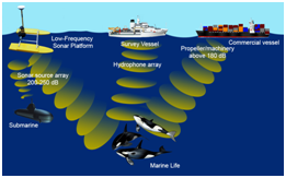Underwater noise emissions pose threat to marine life - GS SCORE