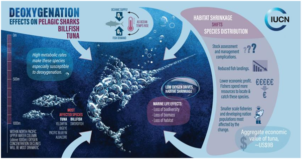 Ocean Deoxygenation for ias upsc prelims and mains exam, current ...