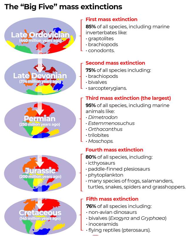 Sixth Mass Extinction