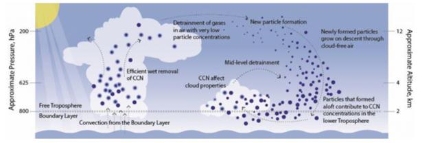 How aerosol formation helps brighten clouds, balance climate