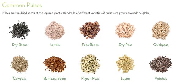 ‘Pulses for Food Security and Sustainable Future’