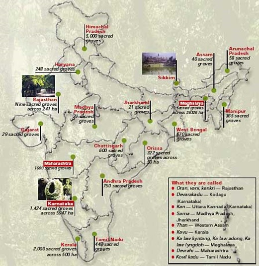 Why India should enact a special law for conserving its sacred groves ...