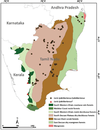 Sanctuary for Slender Loris - GS SCORE