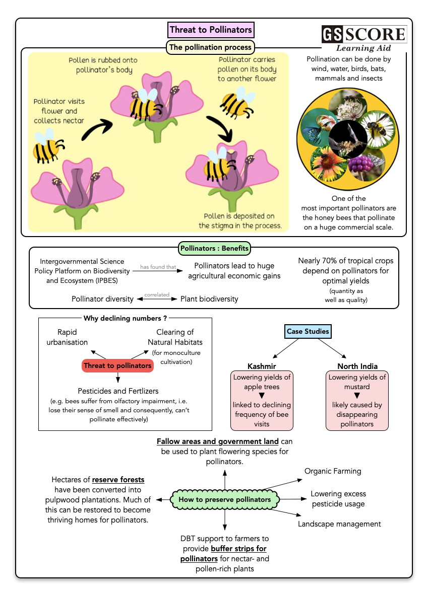 Protect the little helpers: Concern over declining population of ...