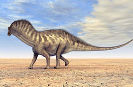 Long-necked dicraeosaurid dinosaur - GS SCORE