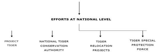 50 Years of Project Tiger - GS SCORE