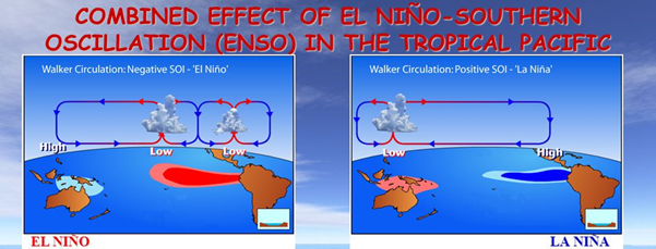El Nino year or neutral phase likely in 2023 - GS SCORE