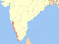 Panamaram heronry set to get a new lease of life - GS SCORE