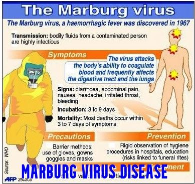 Marburg virus, the Ebola-like outbreak - GS SCORE