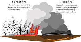 Zombie fires’ discovered in Arctic as climate change introduces new ...