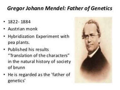 Lessons from Gregor Mendel - GS SCORE