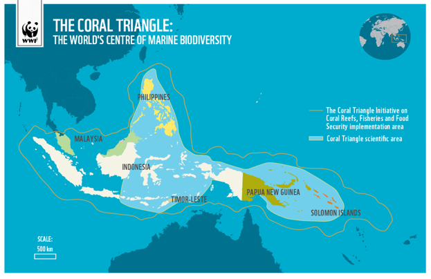 Coral Triangle Day - GS SCORE