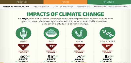 Balancing climate change and global nutrition using Technology - GS SCORE
