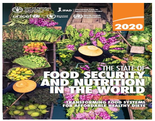 UN’s State of Food Security and Nutrition annual report