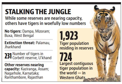 Tiger Population Throughout The Years