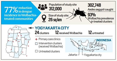 Wolbachia method