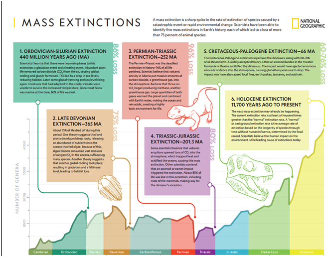 Sixth Mass Extinction