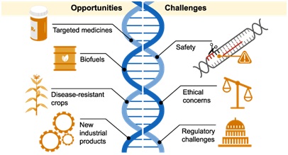 Ethical Issues in Biotechnology - GS SCORE