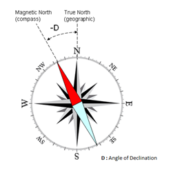 Wandering of the Geo-Magnetic Poles - GS SCORE