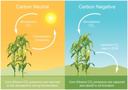 Net zero, Carbon neutral, Carbon negative, Carbon positive - The ...