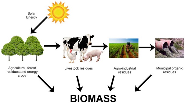 India’s first Biomass-based hydrogen plant