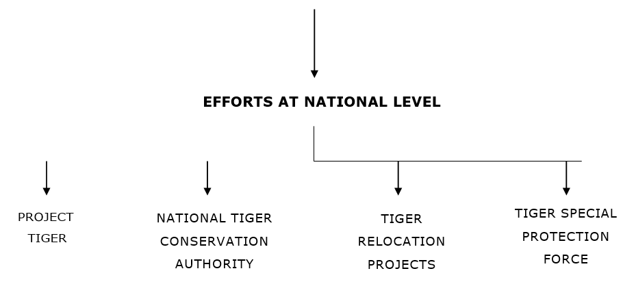Tiger Count and efforts to conserve them - GS SCORE