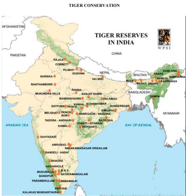 Tiger Count and efforts to conserve them - GS SCORE