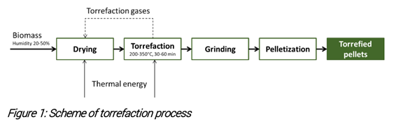 Torrefied biomass pellets - GS SCORE