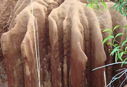 Need to protect the glacial-period coastal red sand dunes of Vizag - GS ...